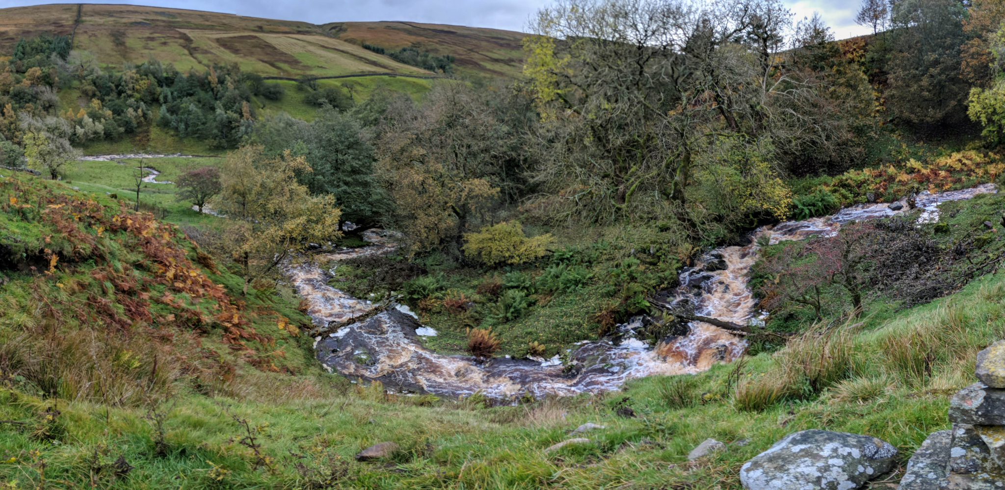 How effective are leaky dams at reducing the downstream flood peak ...